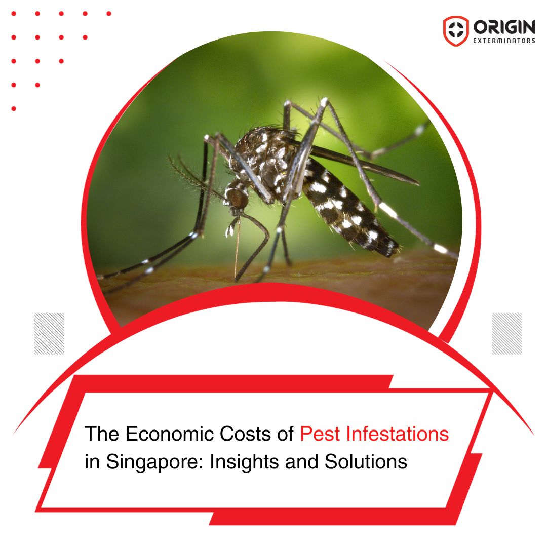 Economic Impact of Pest infestation & Control in Singapore